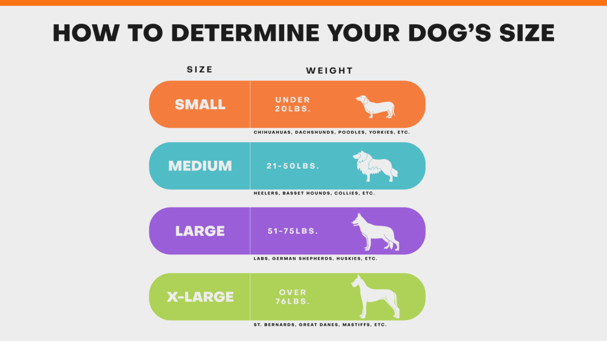 Surrender Services - Humane Society of El Paso